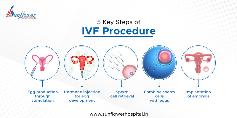 What Does IVF Stand For? Your Complete Guide to Understanding In Vitro Fertilization - Ivf ...